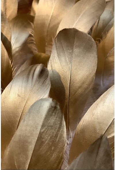 Soley Asalet Djt 40 x 60 cm Banyo Paspası 1006 01