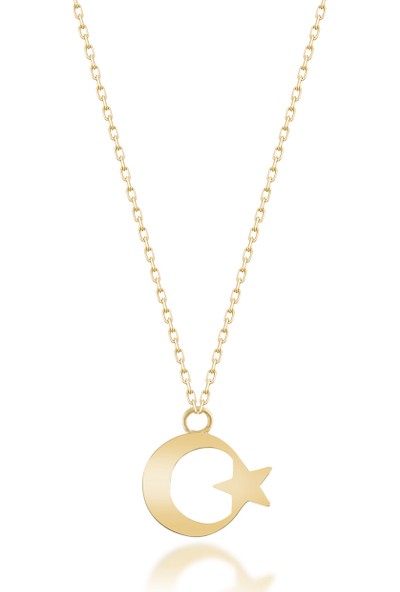 Huarz Gold Minimal Ayyıldız Gümüş Kolye
