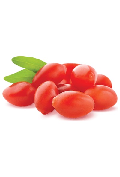 Serdar Çam Tohumculuk Nadir Gojiberry Tohumu 250'li