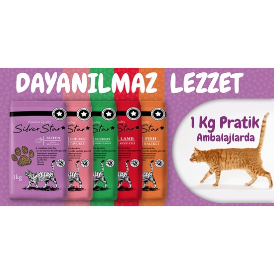 Silver Star 4 Farklı Lezzet Yetişkin Kedi Maması 1 kg * 4 Fiyatı