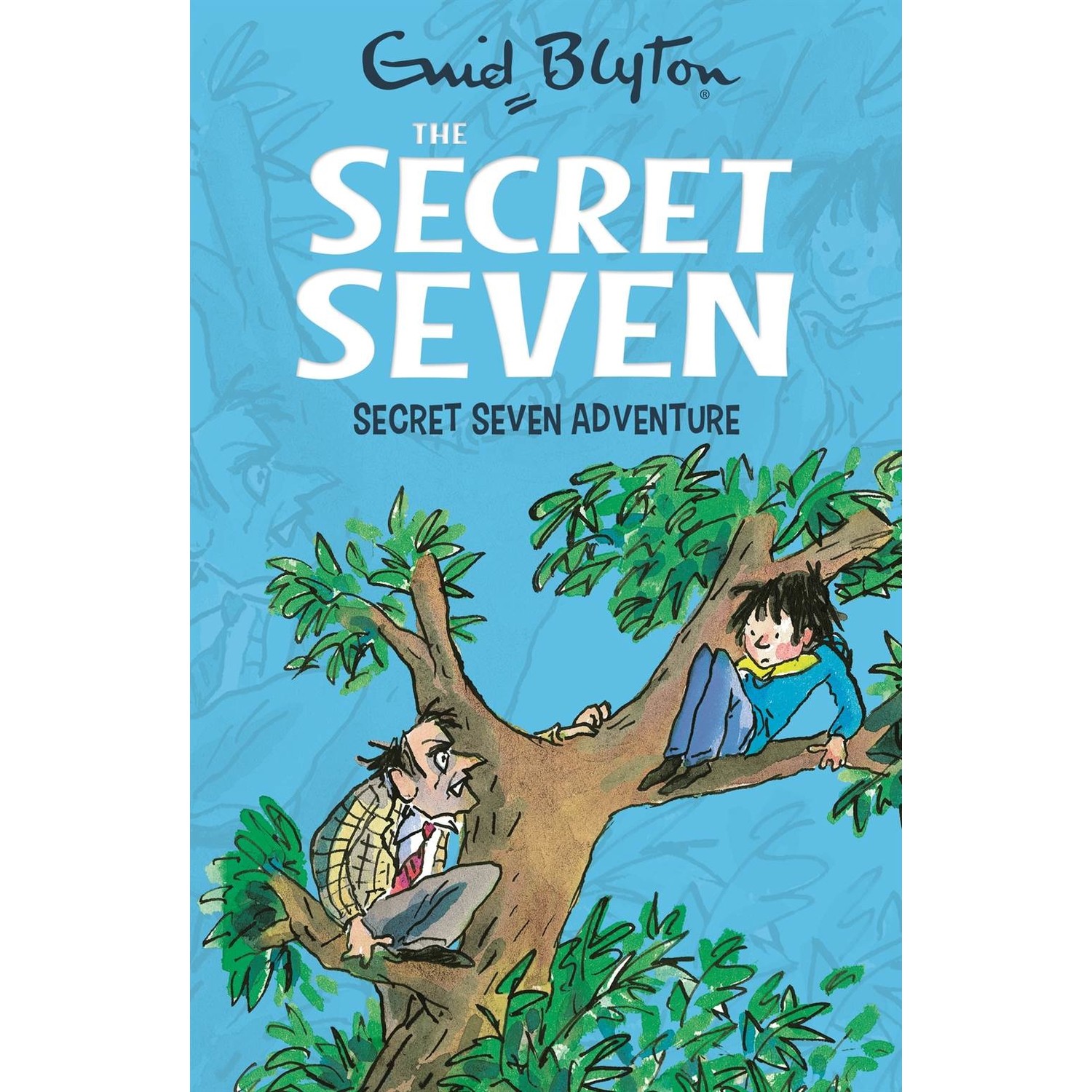 Secret Seven: Secret Seven Adventure - Enid Blyton Kitabı