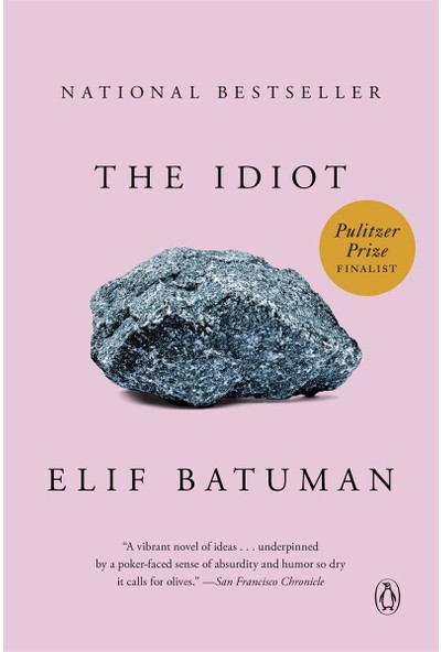 The Idiot - Elif Batuman