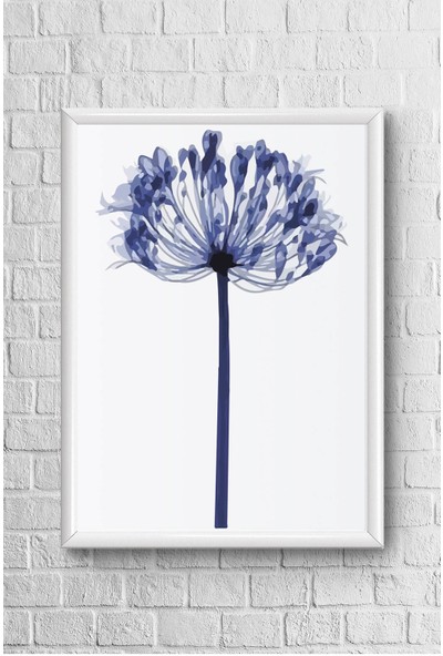 Lyn Home Mavi Laci 3 Çerçeveli Poster Tablo 23,5 x 33,5 cm Lyn Home Mavi Laci 3 Çerçeveli Poster Tablo 23,5 x 33,5 cm