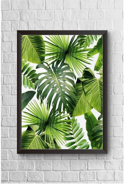 Lyn Home Yeşil Yapraklar Çerçeveli Poster Tablo 23,5 x 33,5 cm Lyn Home Yeşil Yapraklar Çerçeveli Poster Tablo 23,5 x 33,5 cm
