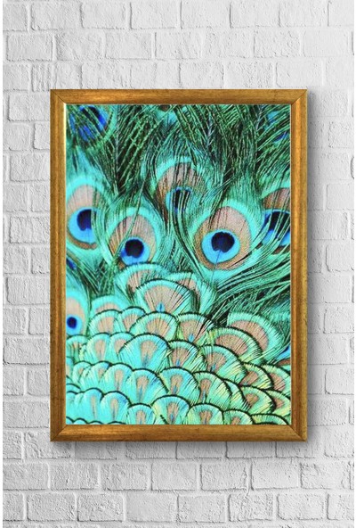 Lyn Home Tavus Kuşu Tüyü Çerçeveli Poster Tablo 23,5 x 33,5 cm