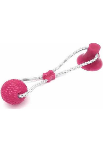 Petzoom Köpek Oyuncağı Vantuzlu Top Petzoom Petzoom Köpek Oyuncağı Vantuzlu Top Petzoom