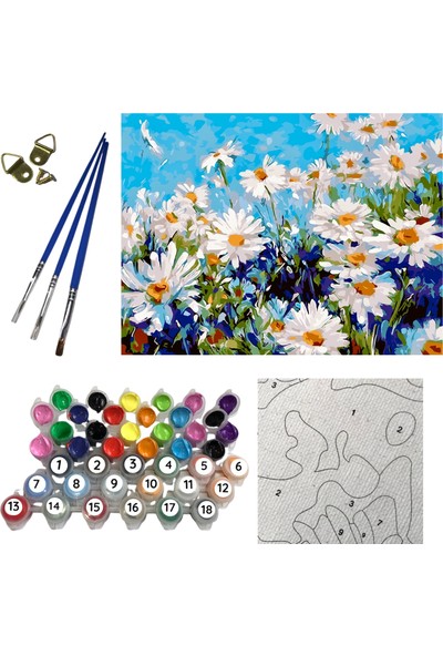 Tale Hobby Sayılarla Boyama Hobi Seti 40 x 50 cm