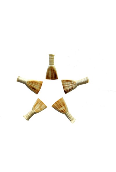 Saz Zk5 Zurna Kamışı 5 Adet