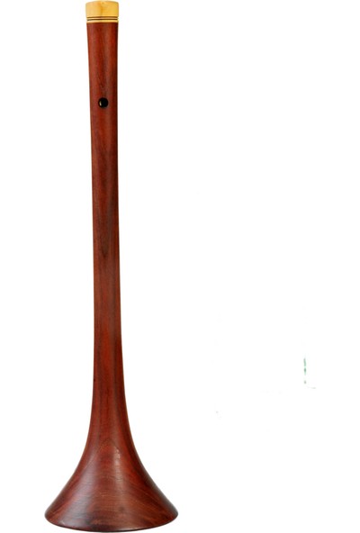 Saz 220D-SOL Erik Zurna