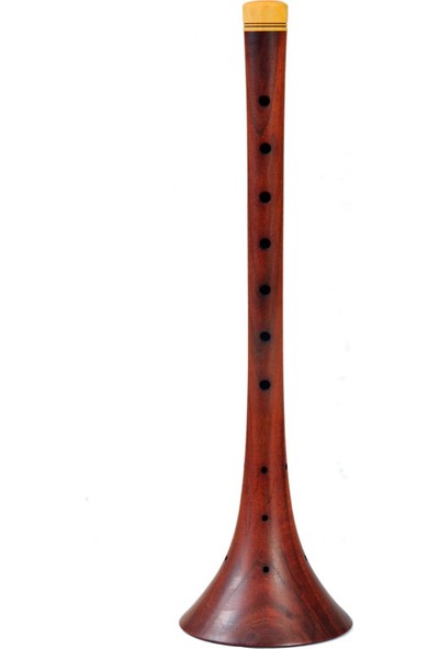 Saz 220C-LA Erik Zurna