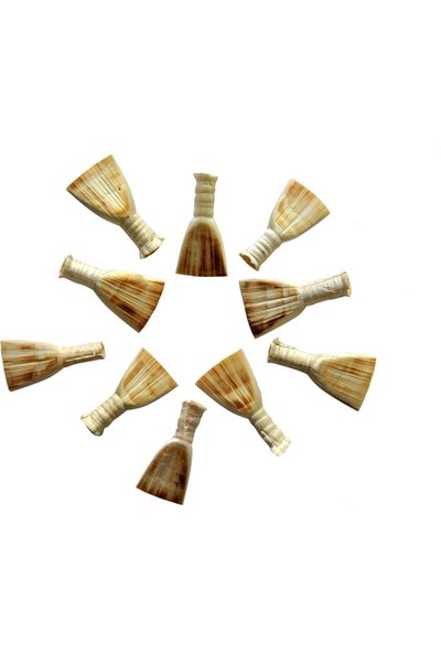 Saz ZK10 Zurna Kamışı 10 Adet