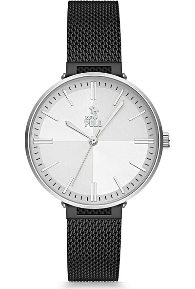 Ashton POLO Kadın Kol Saati ZBG17084B
