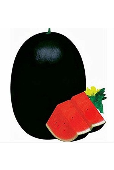 Ege Tarım Halep Siyah Karpuz Tohumu Ege Tarım Halep Siyah Karpuz Tohumu