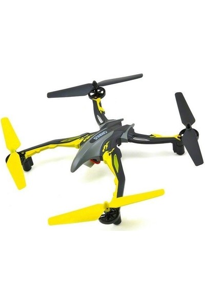 Dromida Ominus Sarı