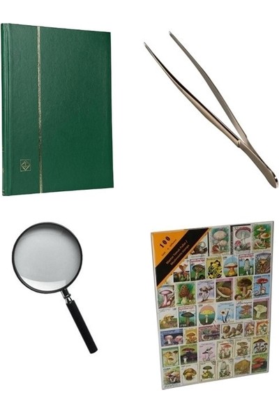 Pulko Filateli Pul Koleksiyonu Başlangıç Seti - Yeşil - Mantar Pulları ile Pulko Filateli Pul Koleksiyonu Başlangıç Seti - Yeşil - Mantar Pulları ile