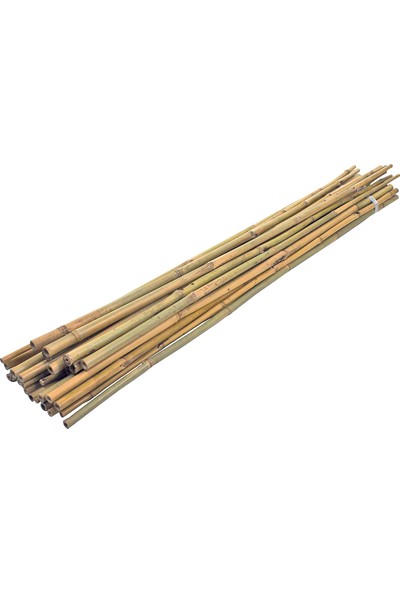 Bahçem Bambu Bitki Destek Çubuğu 60 cm 10'lu Bahçem Bambu Bitki Destek Çubuğu 60 cm 10'lu