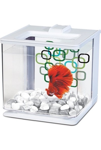 Marina Beta Seti Ez Care Aqua Beyaz 2.5 lt Marina Beta Seti Ez Care Aqua Beyaz 2.5 lt