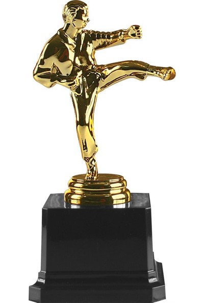 Etkin Karate Figürlü Ödül Kupası