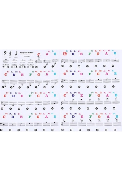 Albatros Piyano Öğrenme Etiketleri Renkli 88 Parça Sticker