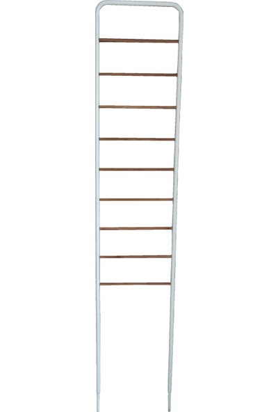 Mr. Ciss Sarılıcı Bitki Merdiveni Mr. Ciss Sarılıcı Bitki Merdiveni