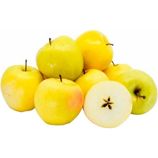 Golden Elma(Sarı Elma) 3 Yaş Aşılı Tüplü Fiyatı