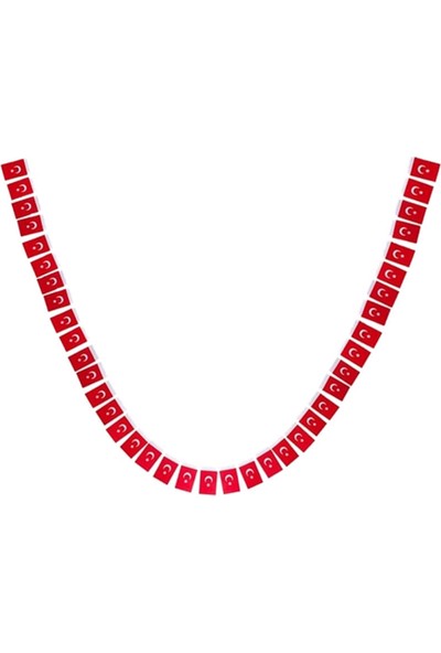 Süsle Bebek & Parti Türk Bayrağı 11 x 20 cm 40'lı İpe Sıralı 5 m