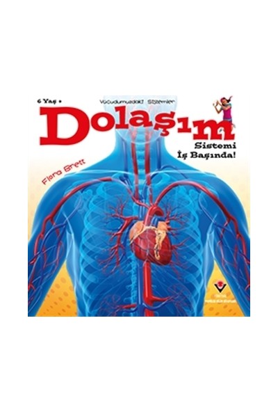 Dolaşım Sistemi İş Başında! Vücudumuzdaki Sistemler - Flora Brett