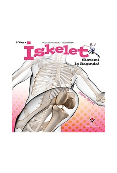 İskelet Sistemi İş Başında! Vücudumuzdaki Sistemler - Flora Brett