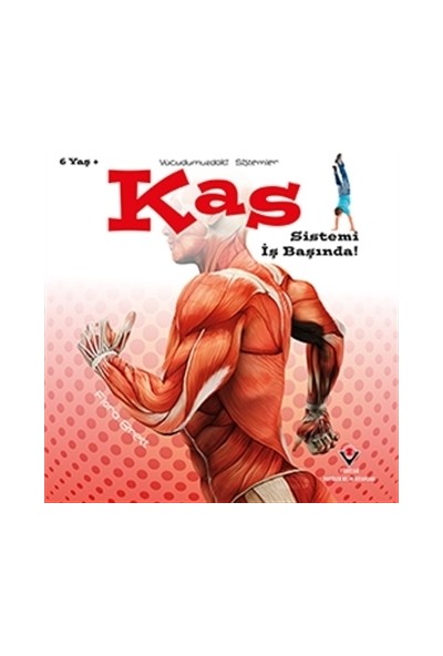 Kas Sistemi İş Başında! Vücudumuzdaki Sistemler - Flora Brett