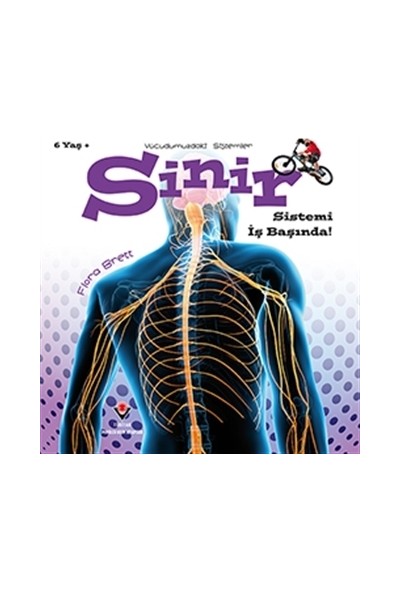 Sinir Sistemi İş Başında! Vücudumuzdaki Sistemler - Flora Brett