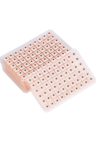 NTS Akupunktur Vaccaria Kulak Tohumları 600 Adet Vaccaria Masajı