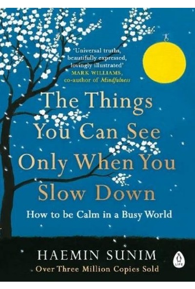 The Things You Can See Only When You Slow Down - Haemin Sunim