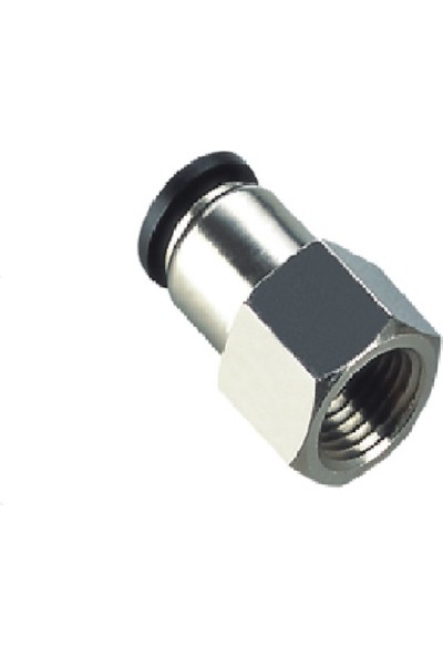 Motion Dişi Rekorlar 1/8-06