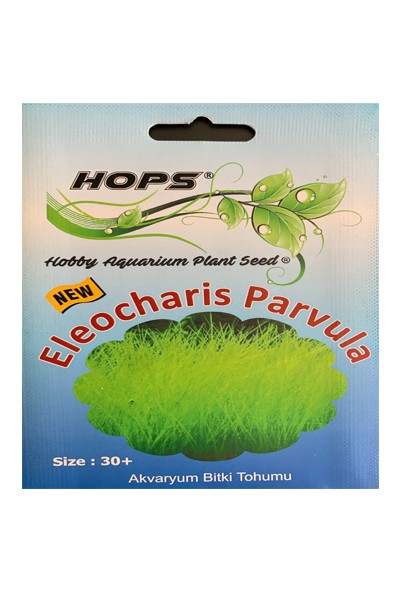 Hobby Tohum Eleocharis Parvula Bitki Tohumu Hobby Tohum Eleocharis Parvula Bitki Tohumu