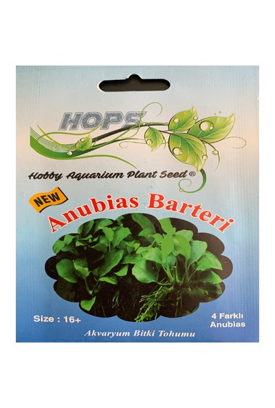 Hobby Tohum Anubias Barteri Bitki Tohumu Hobby Tohum Anubias Barteri Bitki Tohumu
