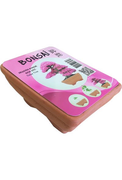 Fideland Bonsai Yetiştirme Kiti Erguvan Fideland Bonsai Yetiştirme Kiti Erguvan