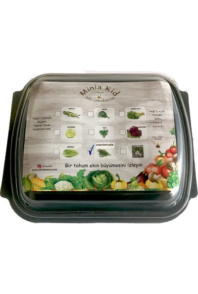 Minia Kid Maydanoz Çimlendirme Kiti Minia Kid Maydanoz Çimlendirme Kiti
