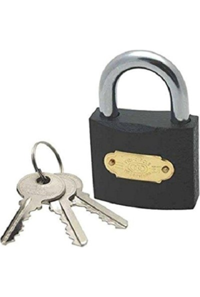 Tri-Moon Asma Kilit Gri Asma Kilit 25 mm