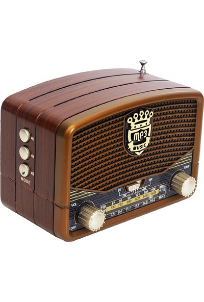 Everton RT-307 Alarm Saatli Radyo