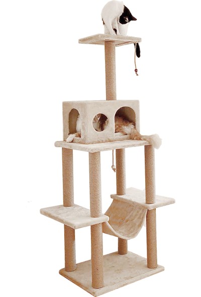 Turkuaz Pet Tr891 Zooplus Katlı Kedi Oyun Evi Bej Turkuaz Pet Tr891 Zooplus Katlı Kedi Oyun Evi Bej