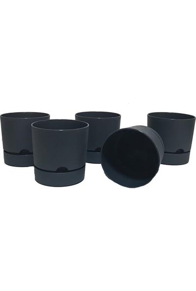 Poliwork Begonya 9 cm Tabaklı Saksı 0,5 Lt 5'li