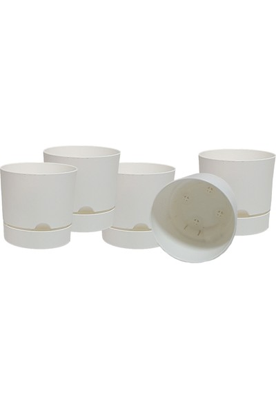 Poliwork Begonya 9 cm Tabaklı Saksı 0,5 Lt 5'li