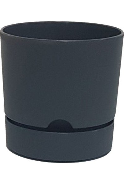 Poliwork Begonya 12 cm Tabaklı Saksı 1 Lt 5'li