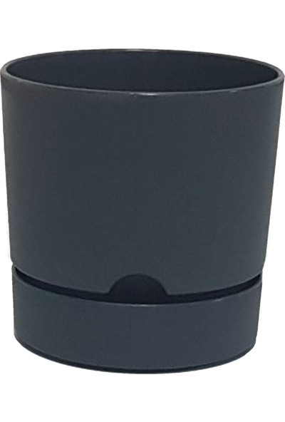 Poliwork Begonya 15 cm Tabaklı Saksı 1,8 Lt 4'lü