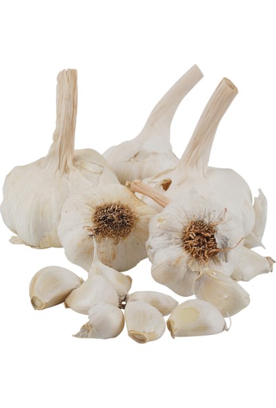 Yöresel ve Organik Taşköprü Sarımsak 1 kg