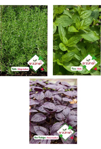 Arzuman Kekik Nane Mor Fesleğen Tohumu