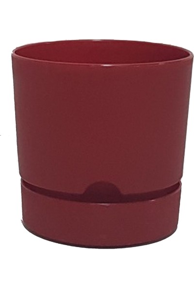 Poliwork Begonya 15 cm Tabaklı Saksı 1,8 lt