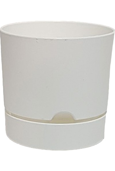 Poliwork Begonya 15 cm Tabaklı Saksı 1,8 lt