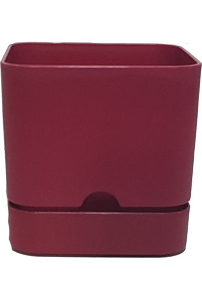 Poliwork Begonya Kare 16 cm Tabaklı Saksı 2,3 lt Poliwork Begonya Kare 16 cm Tabaklı Saksı 2,3 lt
