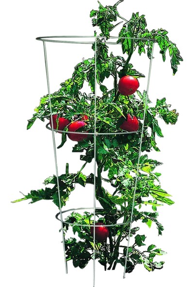 Aktepe Group Domates Kafesi 3 Çemberli Domates Teli 90 cm 15'li Aktepe Group Domates Kafesi 3 Çemberli Domates Teli 90 cm 15'li
